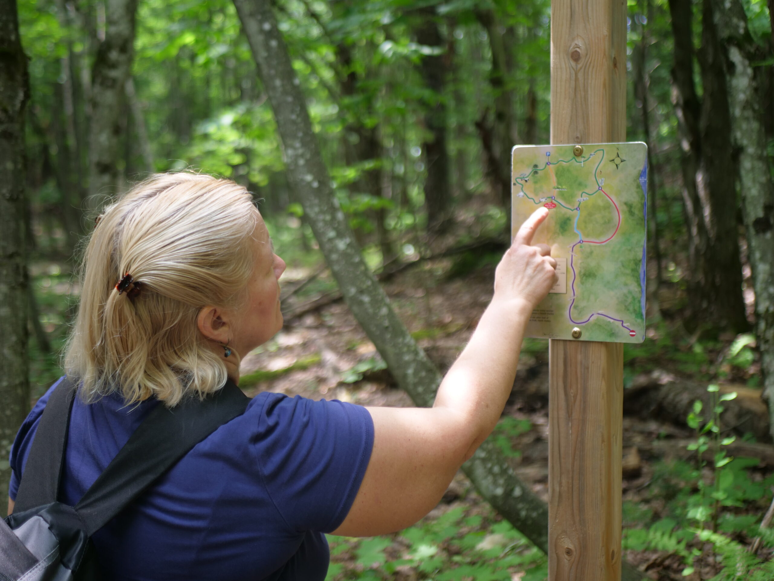 FMF/MCT Vision – next 10 years - Massawippi Foundation